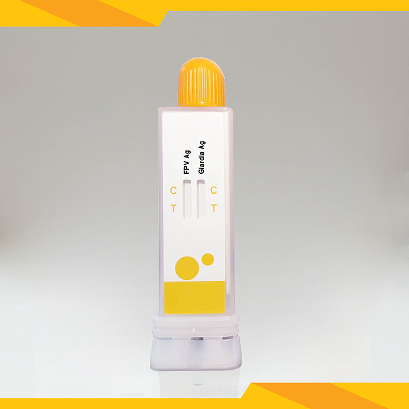 FPV Giardia Lamblia Antigen Combo Test Kit Sensitivity Stability ...
