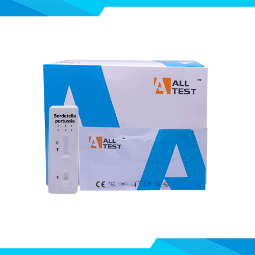 IBP-502 -- Bordetella pertussis Antigen Rapid Test (Nasopharyngeal Swab)